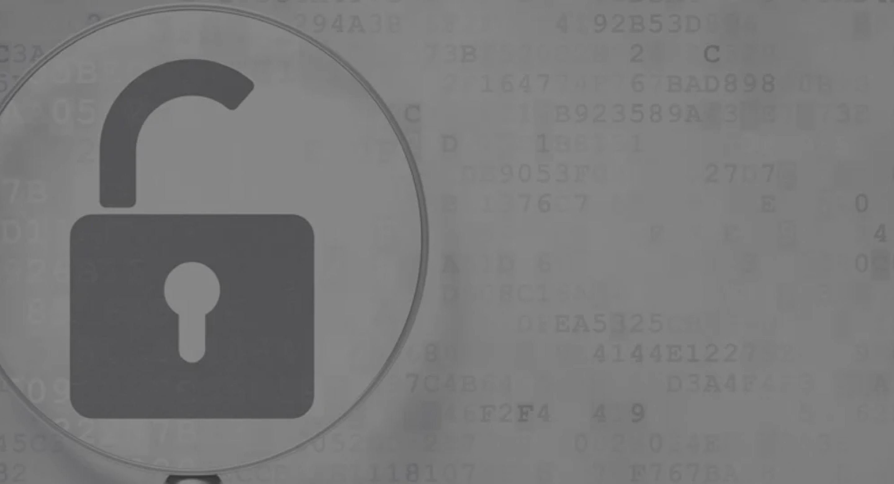 Measuring and Managing Information Risk: A FAIR Approach